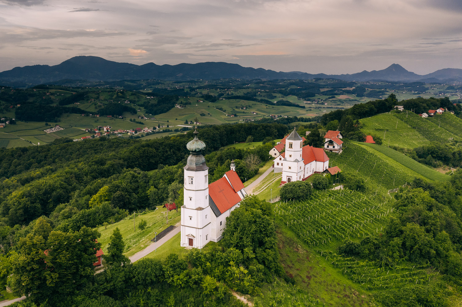 tinsko-0036 - Kozjansko.info